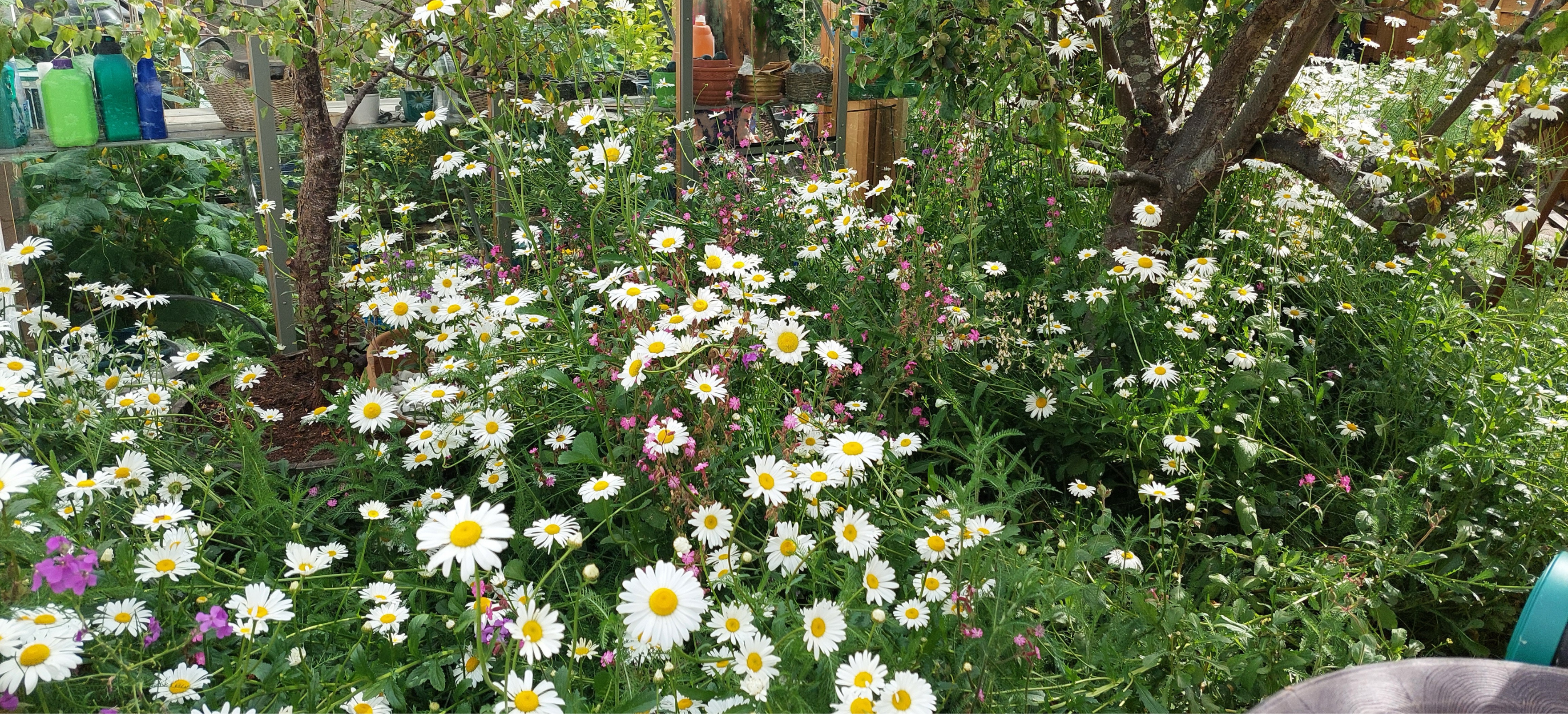 Joel Loader – Garden Project Case Study