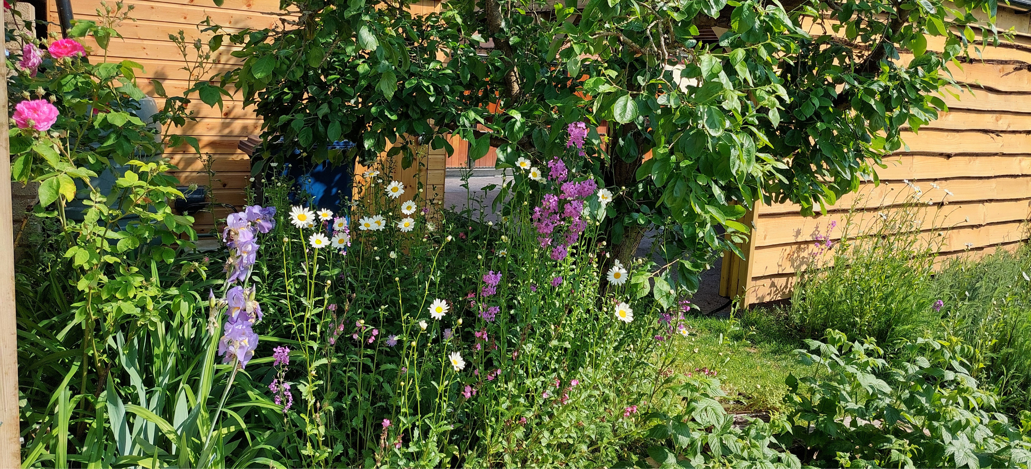 Joel Loader – Garden Project Case Study